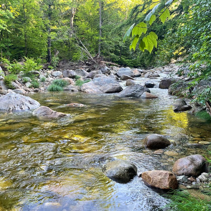 Town Hall Road Dispersed Camping | Chatham, NH