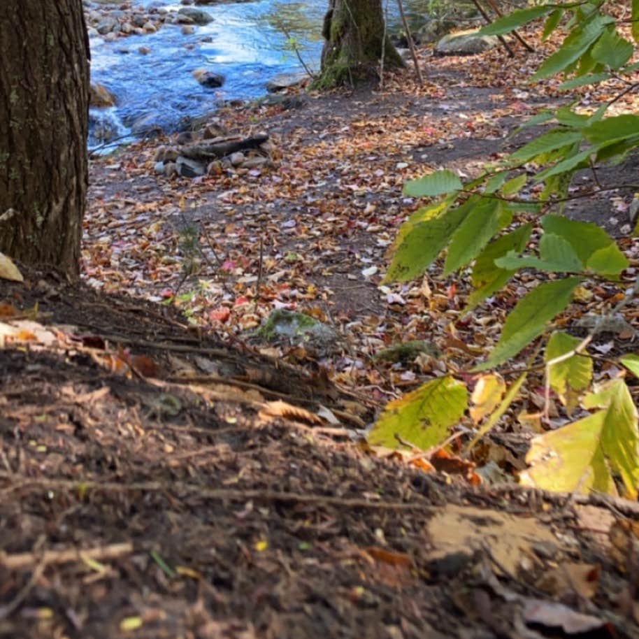 Town Hall Road Dispersed Camping | Chatham, NH