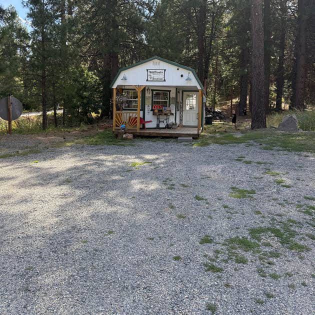 Trailer Lane Campground | Weed, California