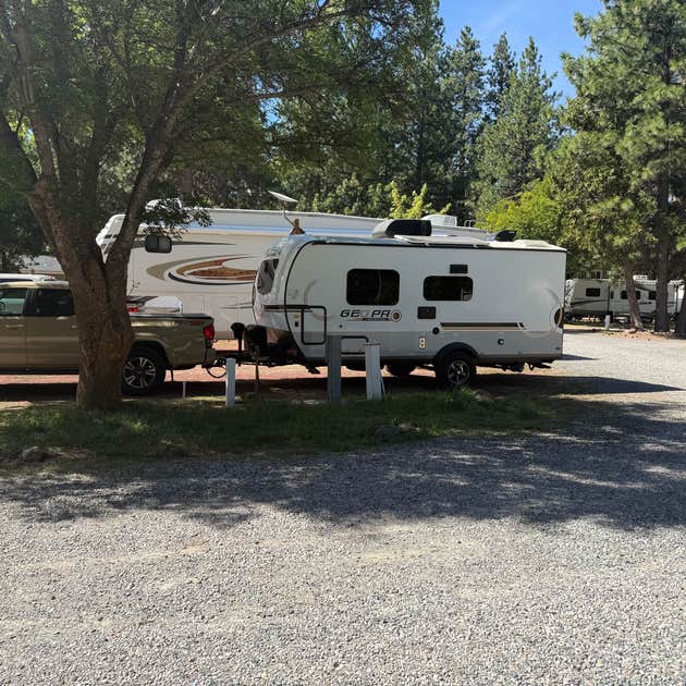 Trailer Lane Campground | Weed, California
