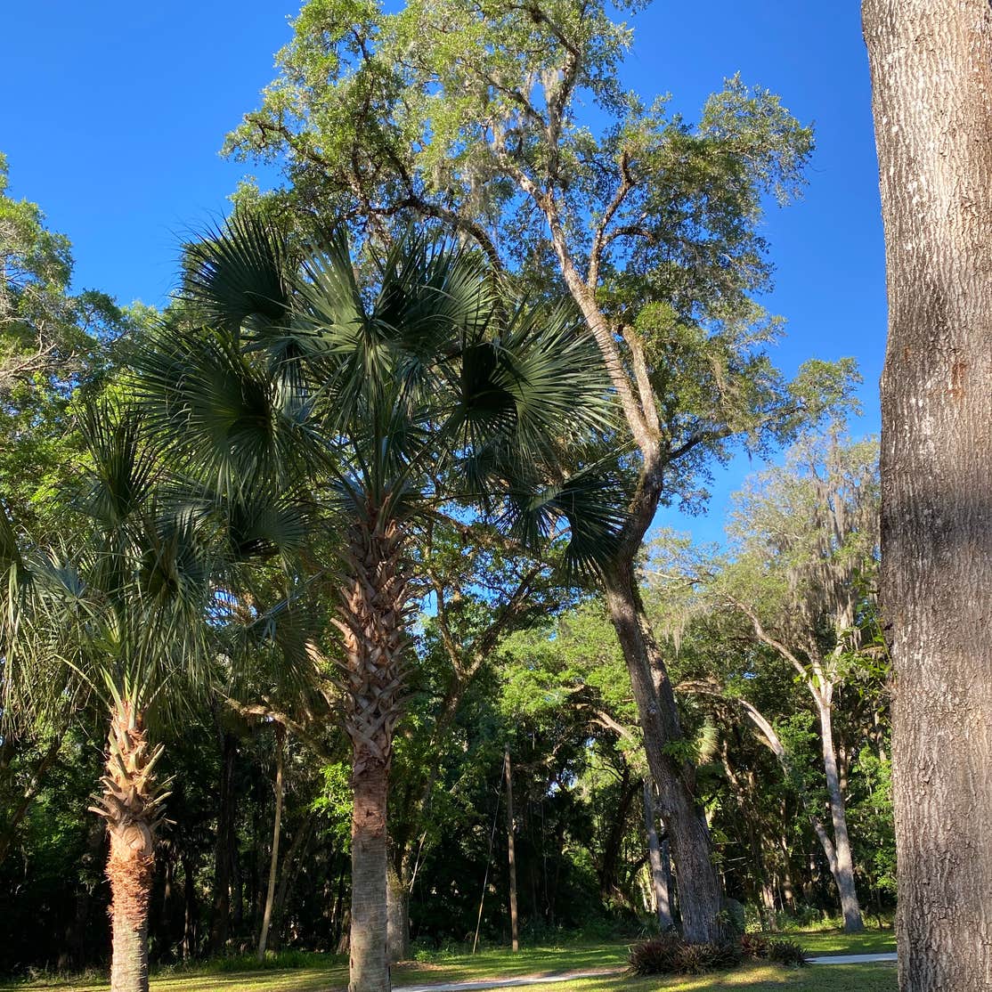 Trails End RV Park | Floral City, Florida