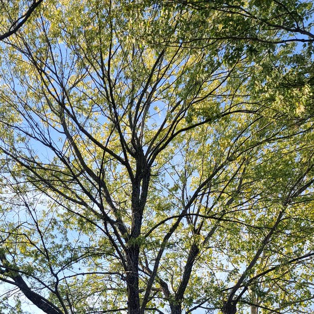 Trailside RV Park | Grain Valley, Missouri