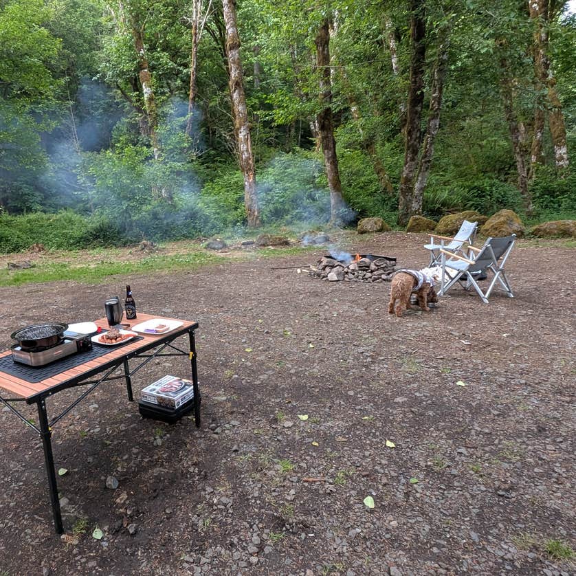 Trask River Campsites | Tillamook, Oregon