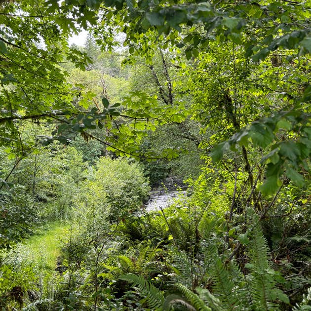 Trask River Campsites | Tillamook, Oregon