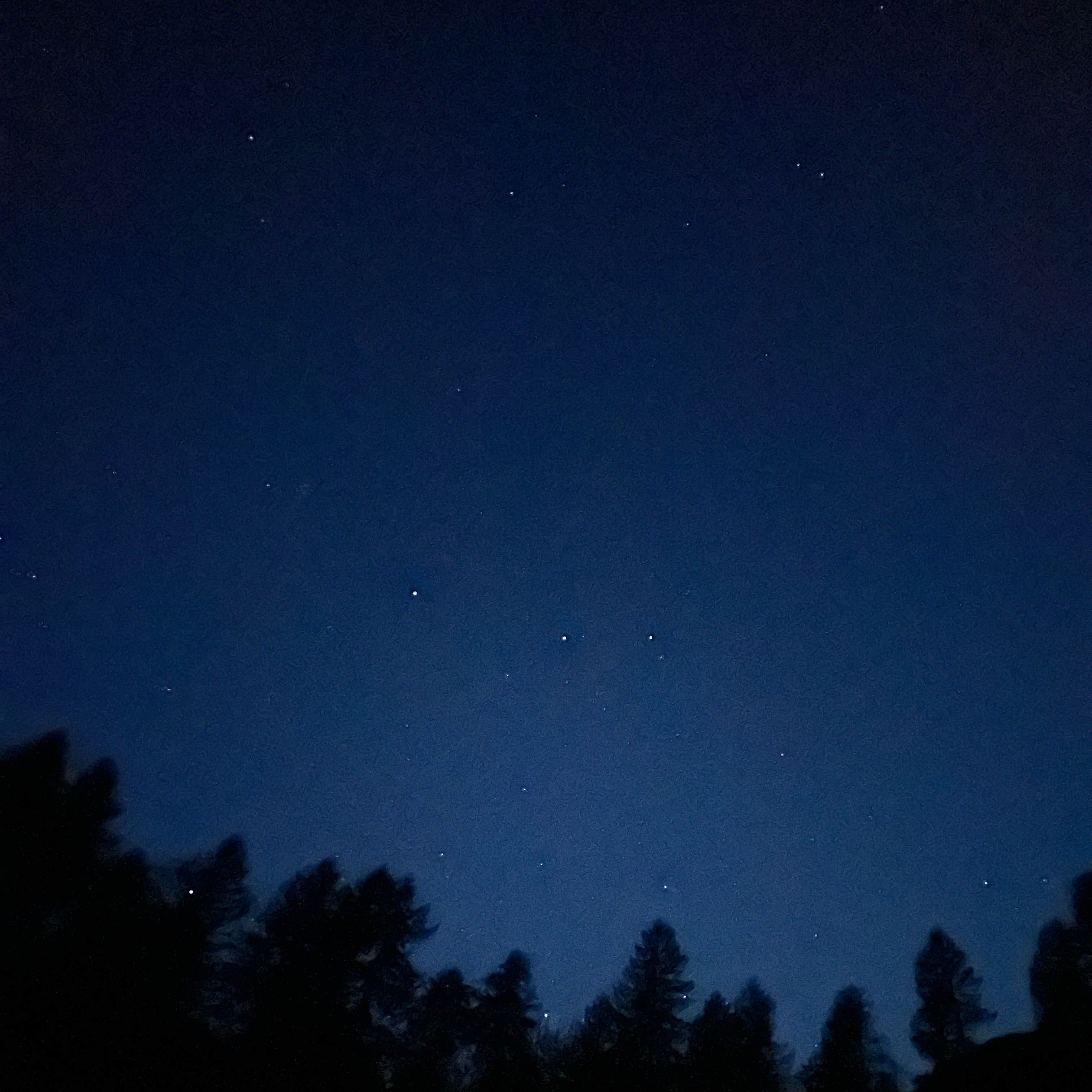 Trask River Campsites | Tillamook, Oregon