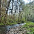 Trask River Campsites | Tillamook, Oregon