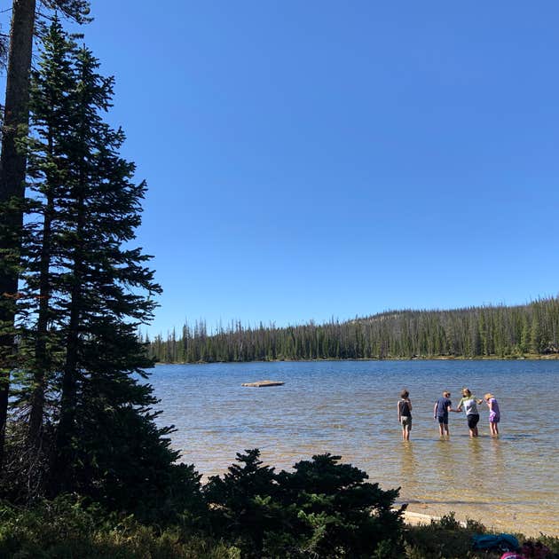 Trial Lake Road Dispersed Camping | Kamas, Utah