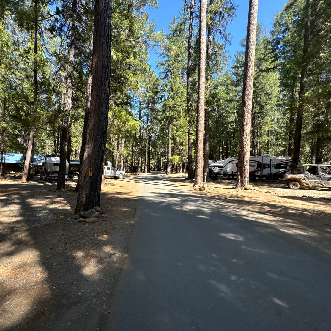 Trinity Lake KOA Holiday Camping | Trinity Center, California
