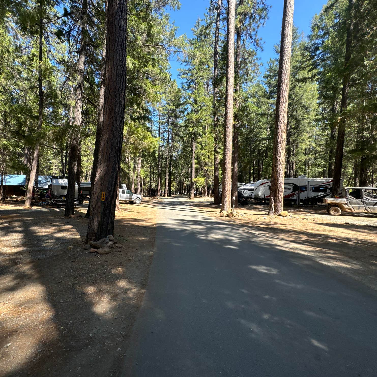 Trinity Lake KOA Holiday Camping | Trinity Center, California