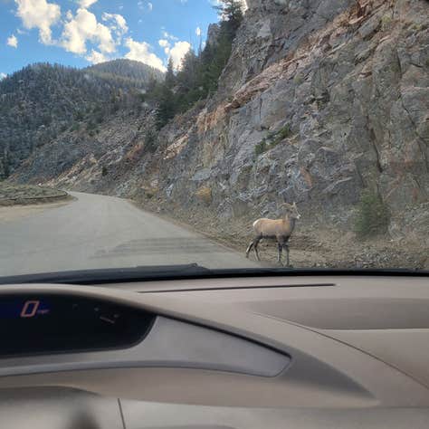 Trough Road Dispersed Camping | Bond, Colorado