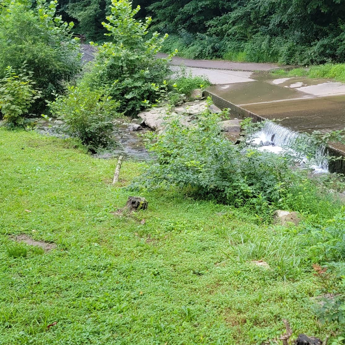 Yough Lake Campground at Tub Run | Confluence, PA