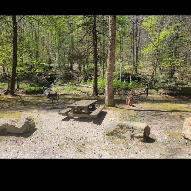 Turkey Foot Campground | McKee, Kentucky