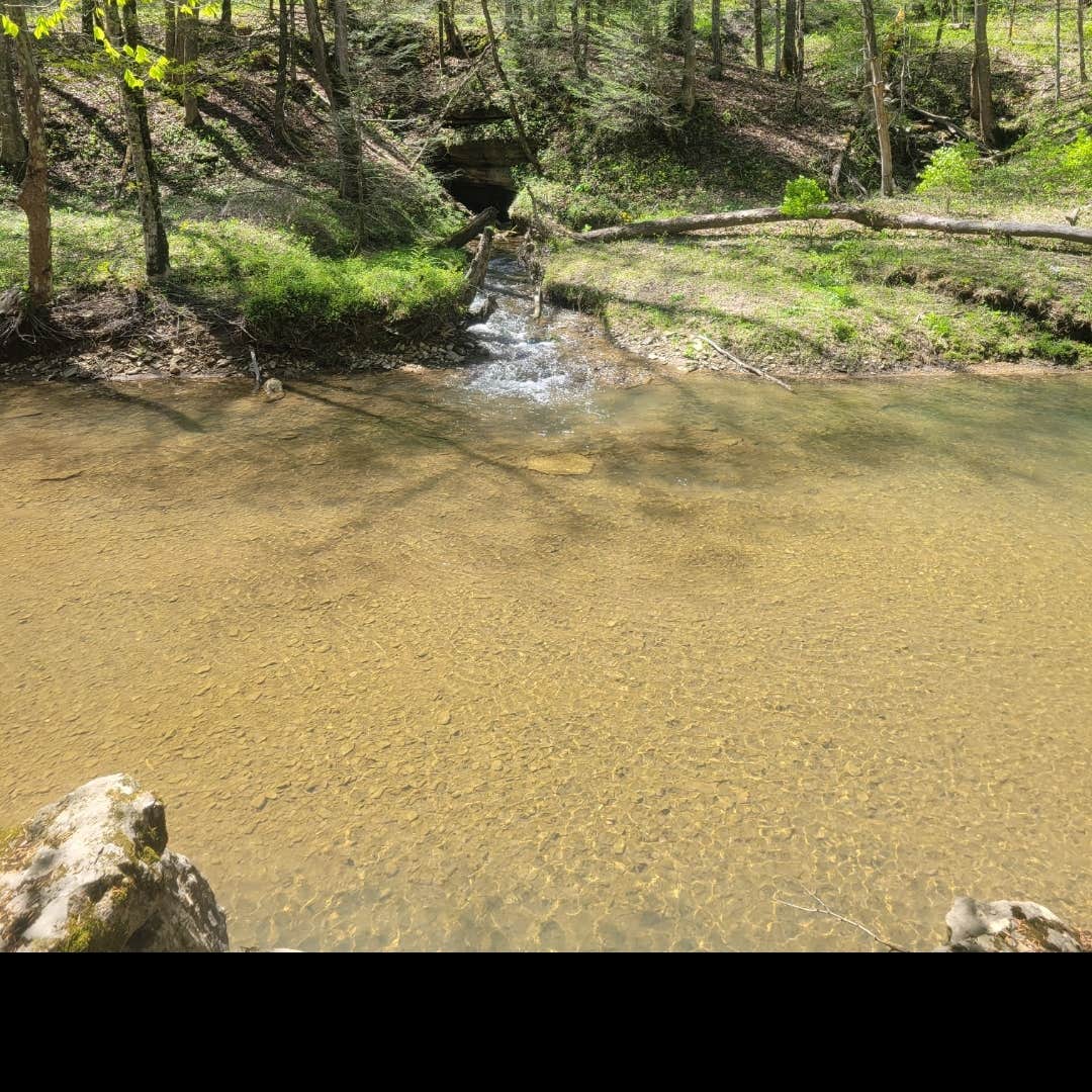 Turkey Foot Campground | McKee, Kentucky