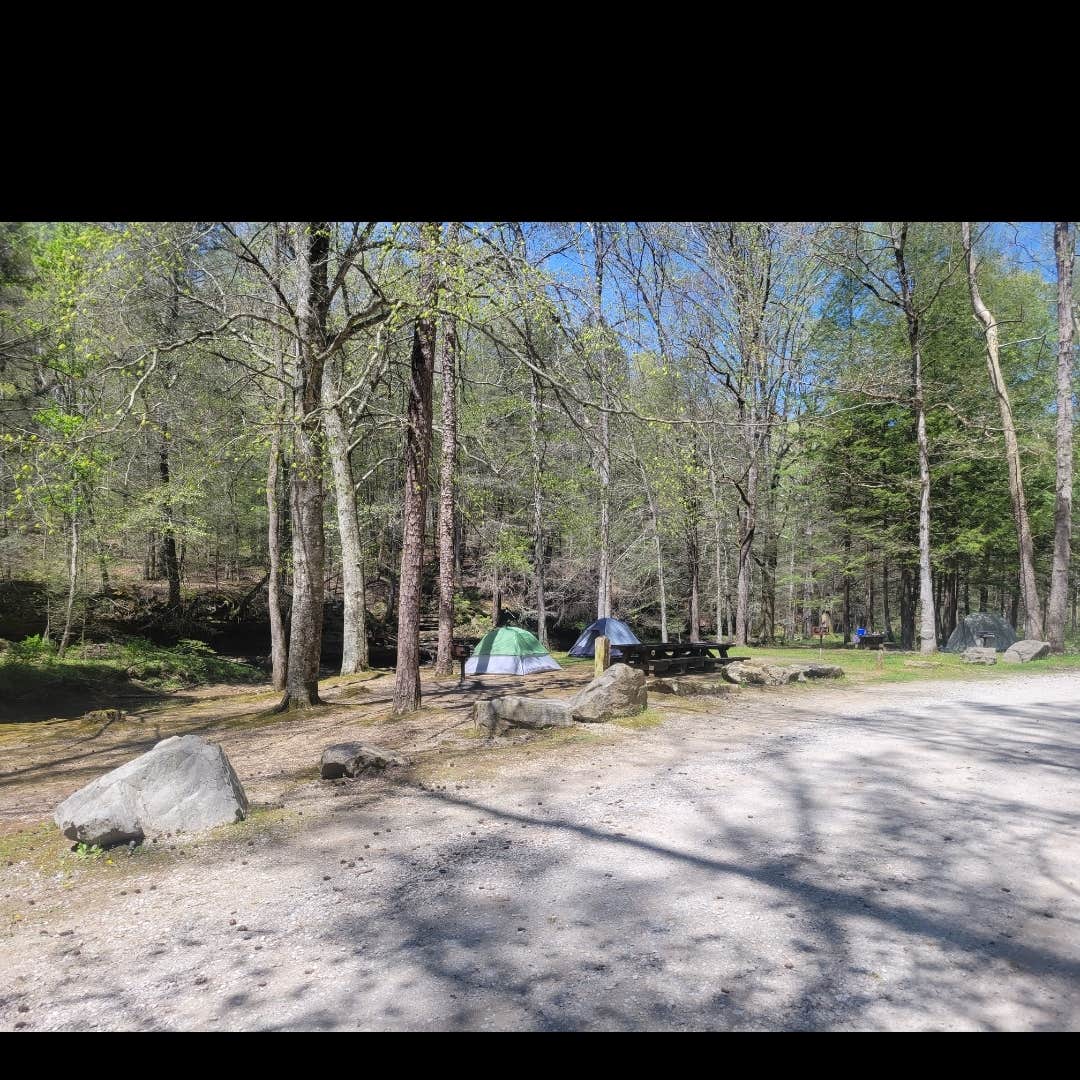 Turkey Foot Campground | McKee, Kentucky