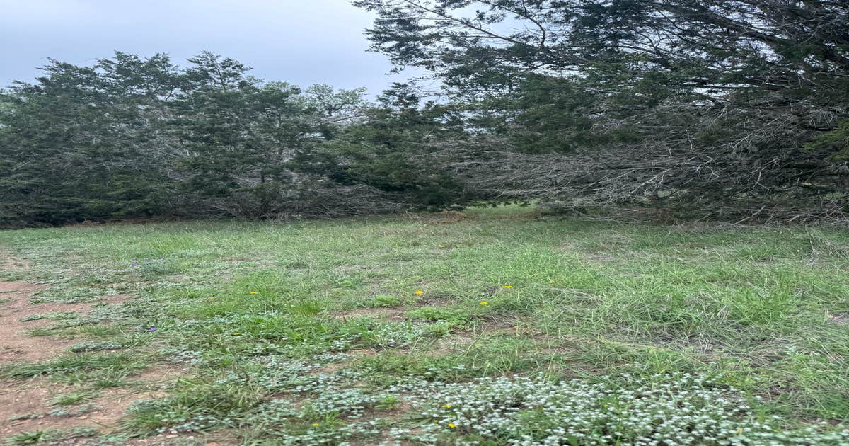 Turkey Sink Camping Area — Guadalupe River State Park | Spring Branch ...