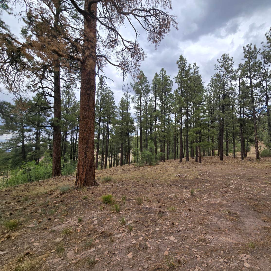 Turkey Springs Camping | Fort Wingate, New Mexico