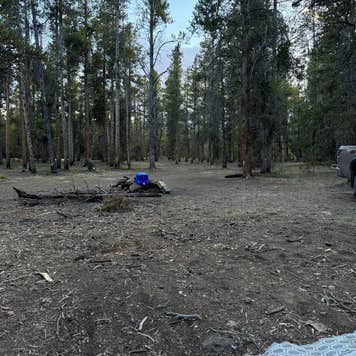 Turquoise Lake Camping | Leadville, Colorado
