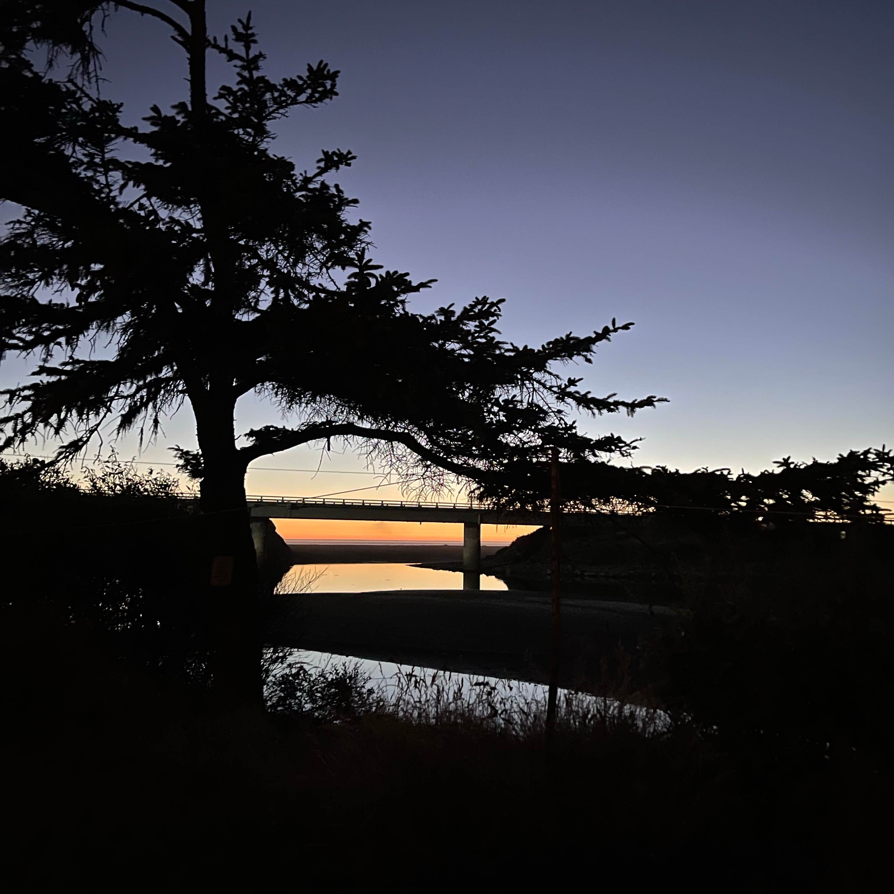 Turtle Rock RV Resort | Gold Beach, Oregon