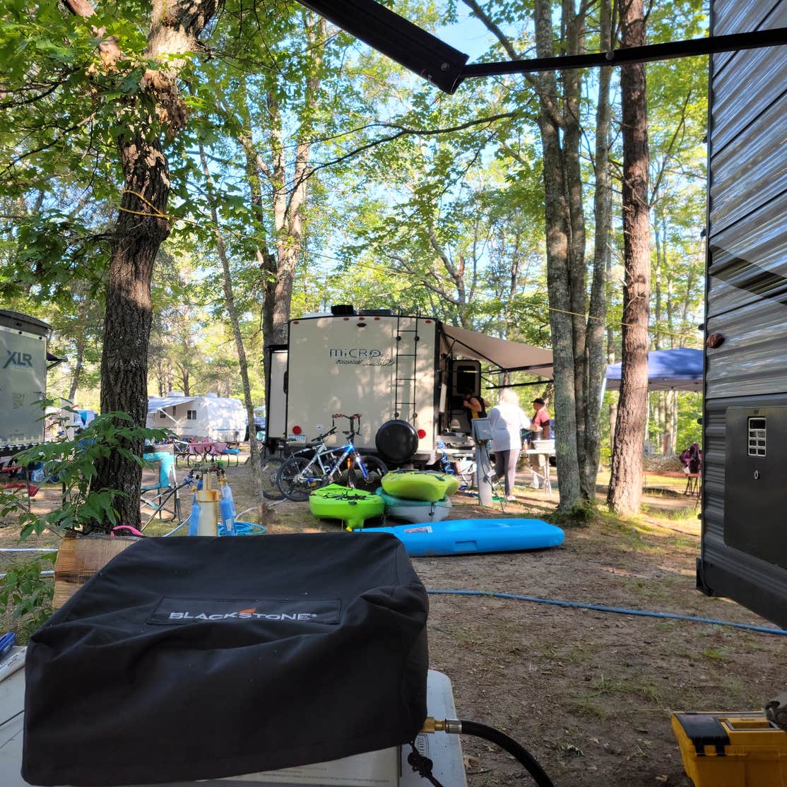 Twin Bears Wooded Campground | Indian River, MI