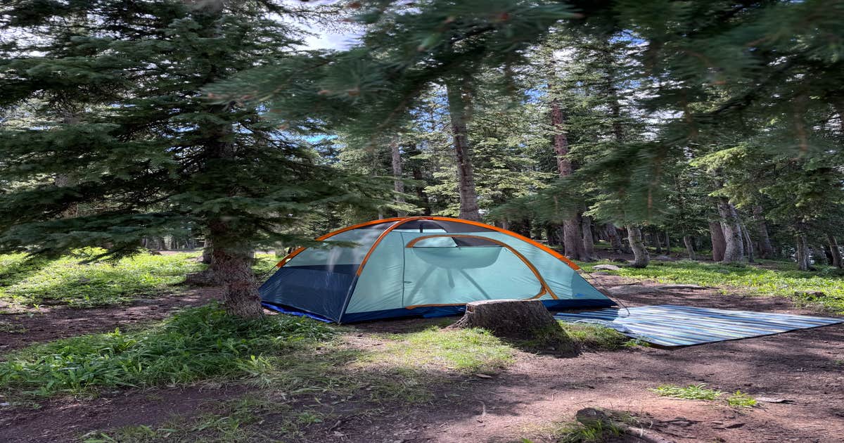 Twin Lake Dispersed Area - Grand Valley Rd Camping | Cedaredge, Colorado