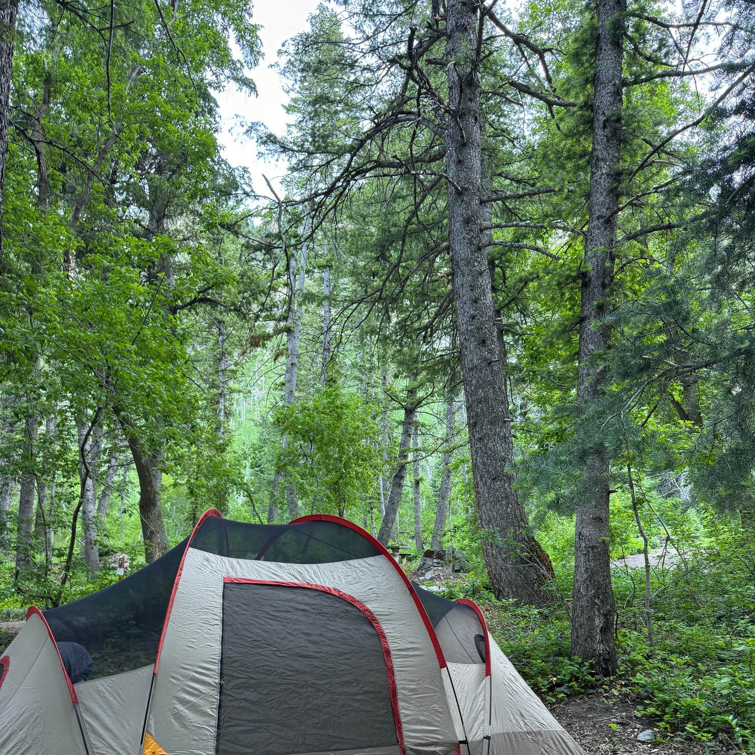 Mount Timpanogos Campground | Aspen Grove, Utah