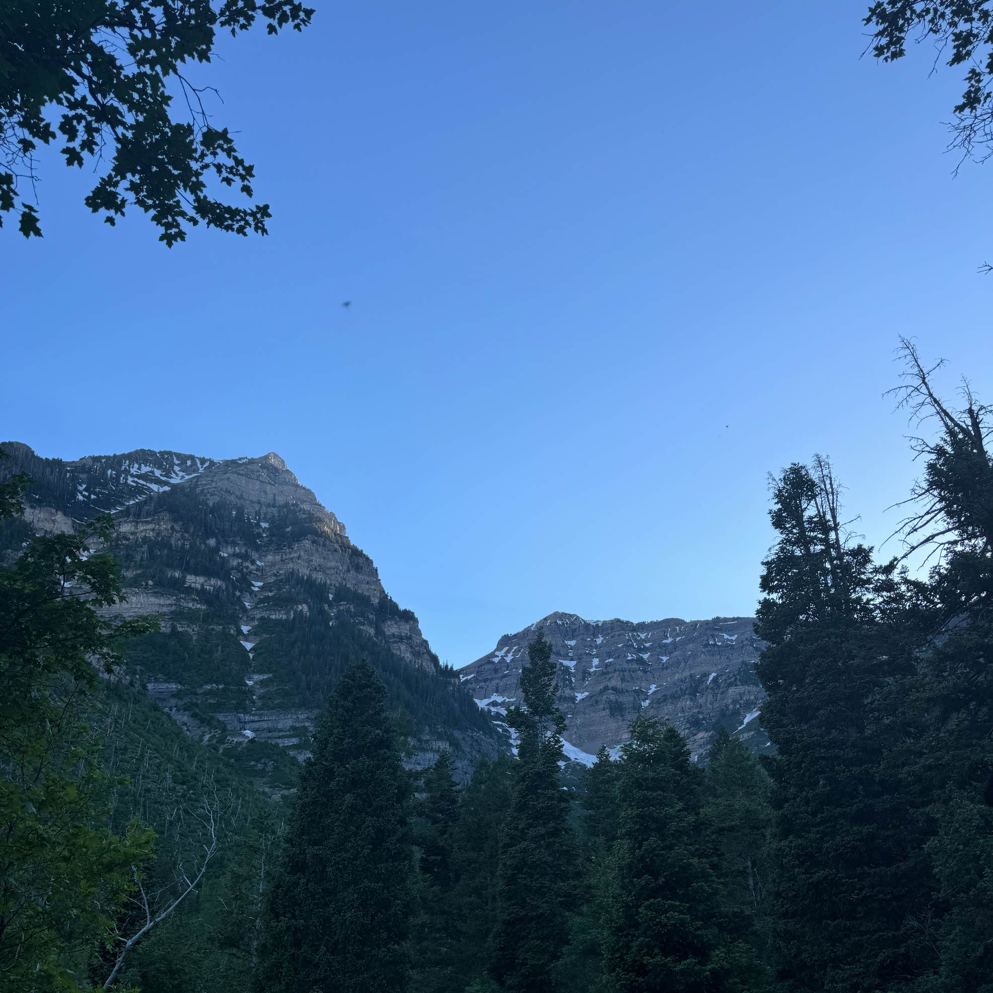 Mount Timpanogos Campground | Aspen Grove, Utah