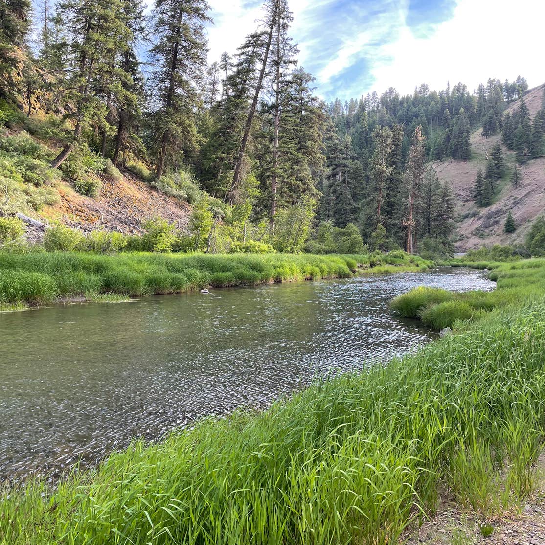 Ukiah-Dale Forest State Park and Campground | Ukiah, Oregon