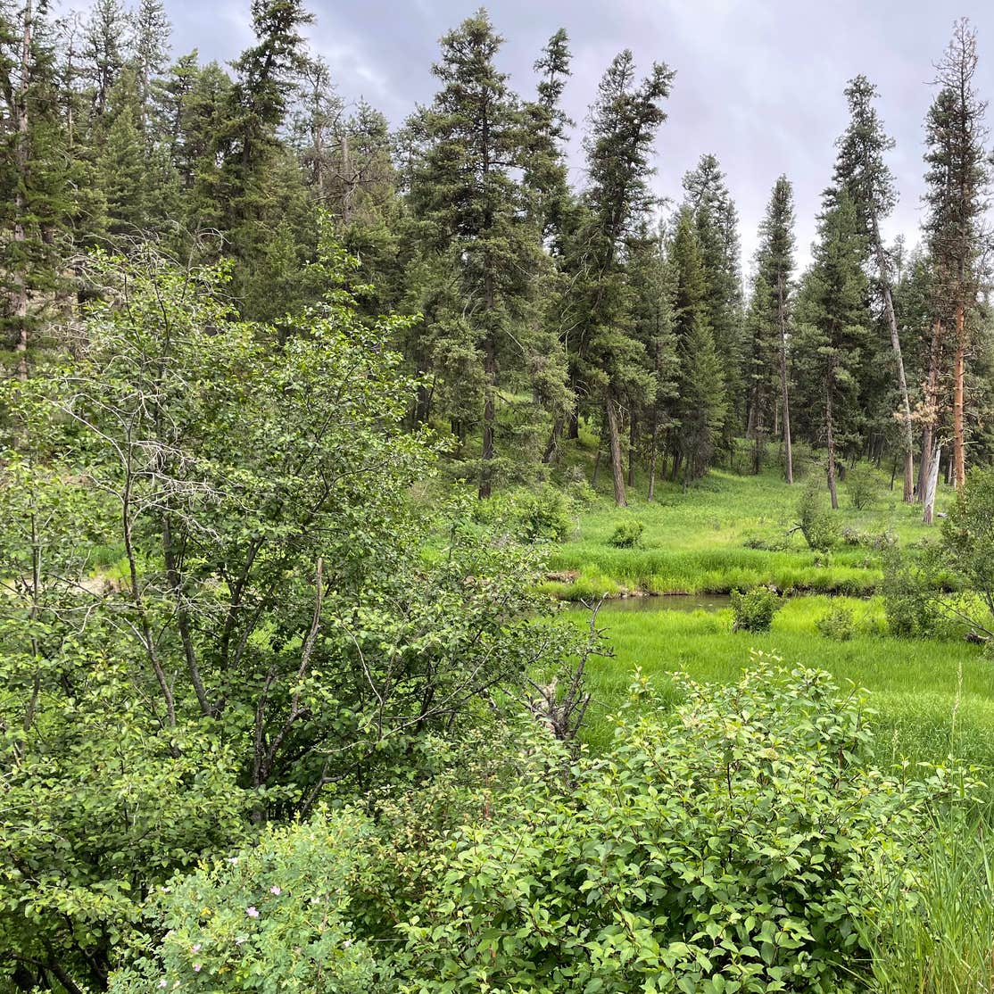 Ukiah-Dale Forest State Park and Campground | Ukiah, Oregon