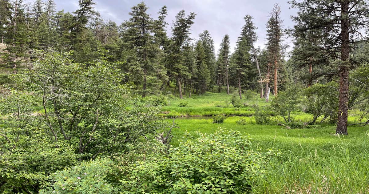 Camper-Submitted Photos of Ukiah-Dale Forest State Park and Campground