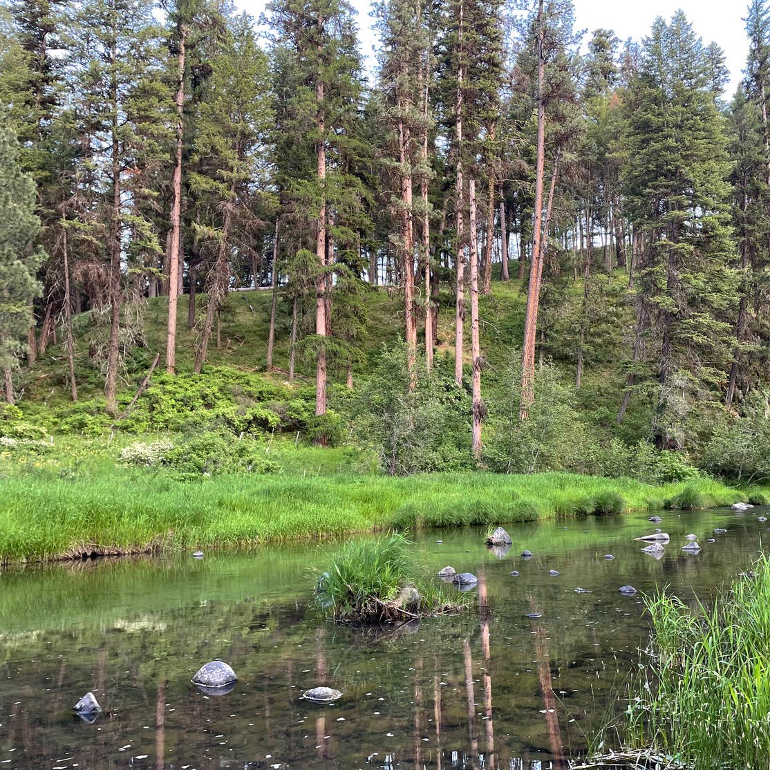 Ukiah-Dale Forest State Park and Campground | Ukiah, Oregon