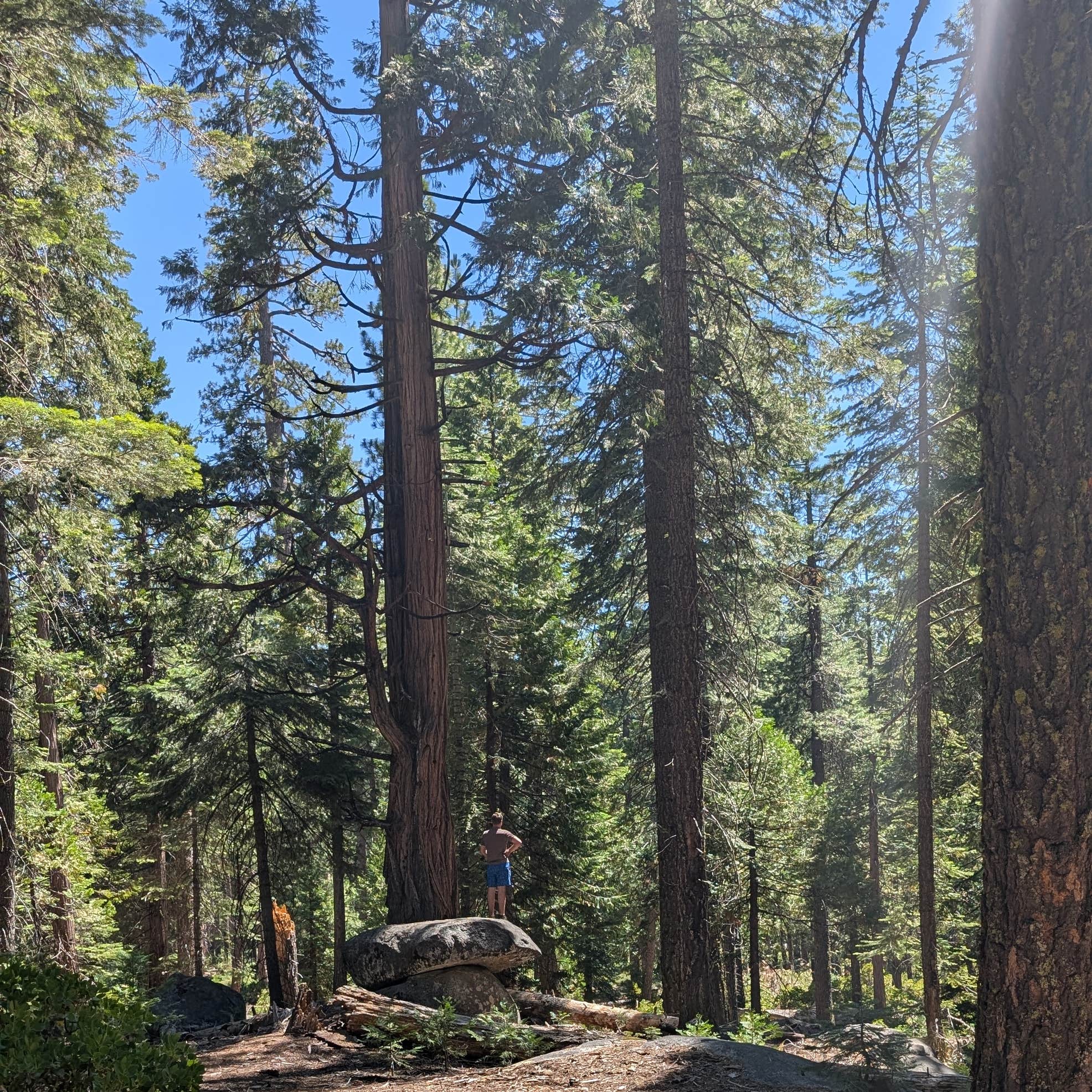 Union Valley Reservoir Dispersed Camping | Kyburz, California