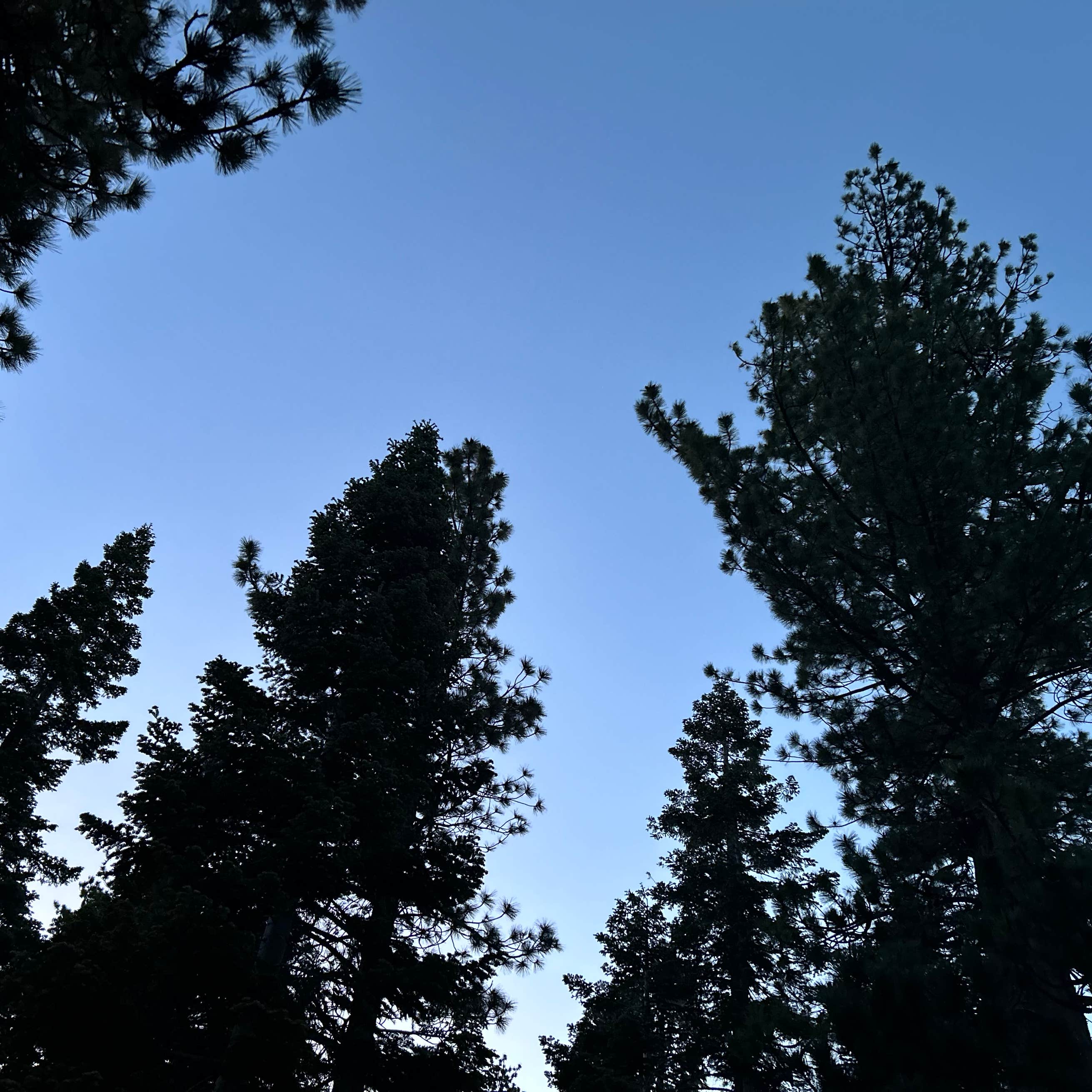 Eagle Point Campground — Emerald Bay State Park | South Lake Tahoe, CA