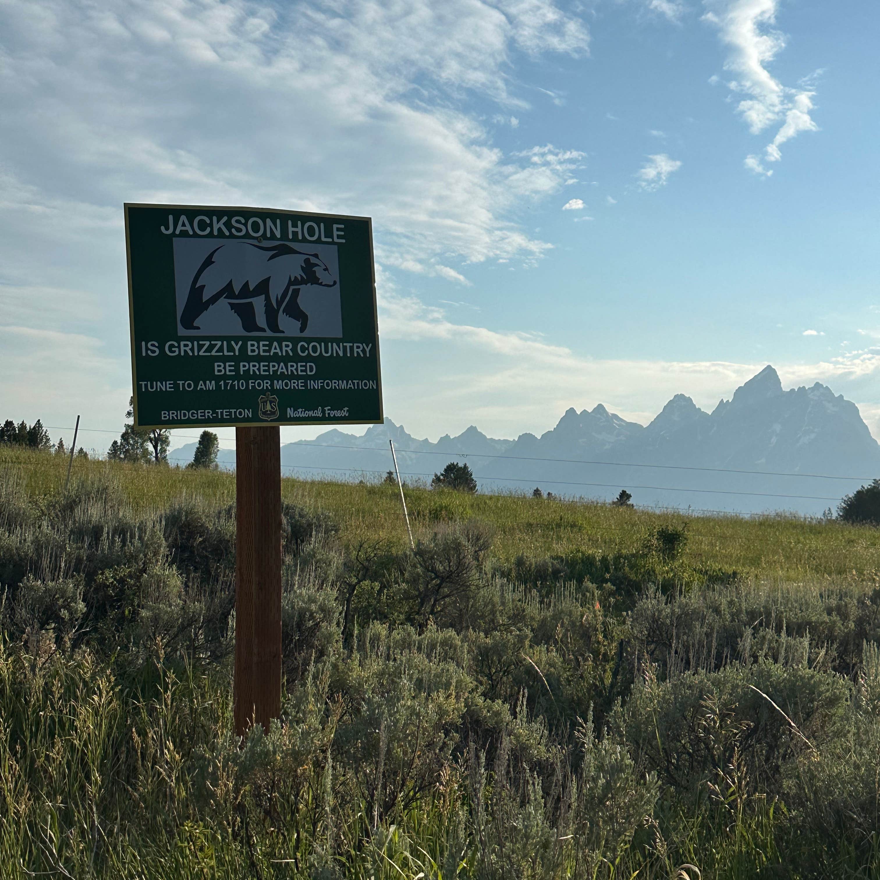 Upper Teton View Dispersed Camping | Moran, Wyoming