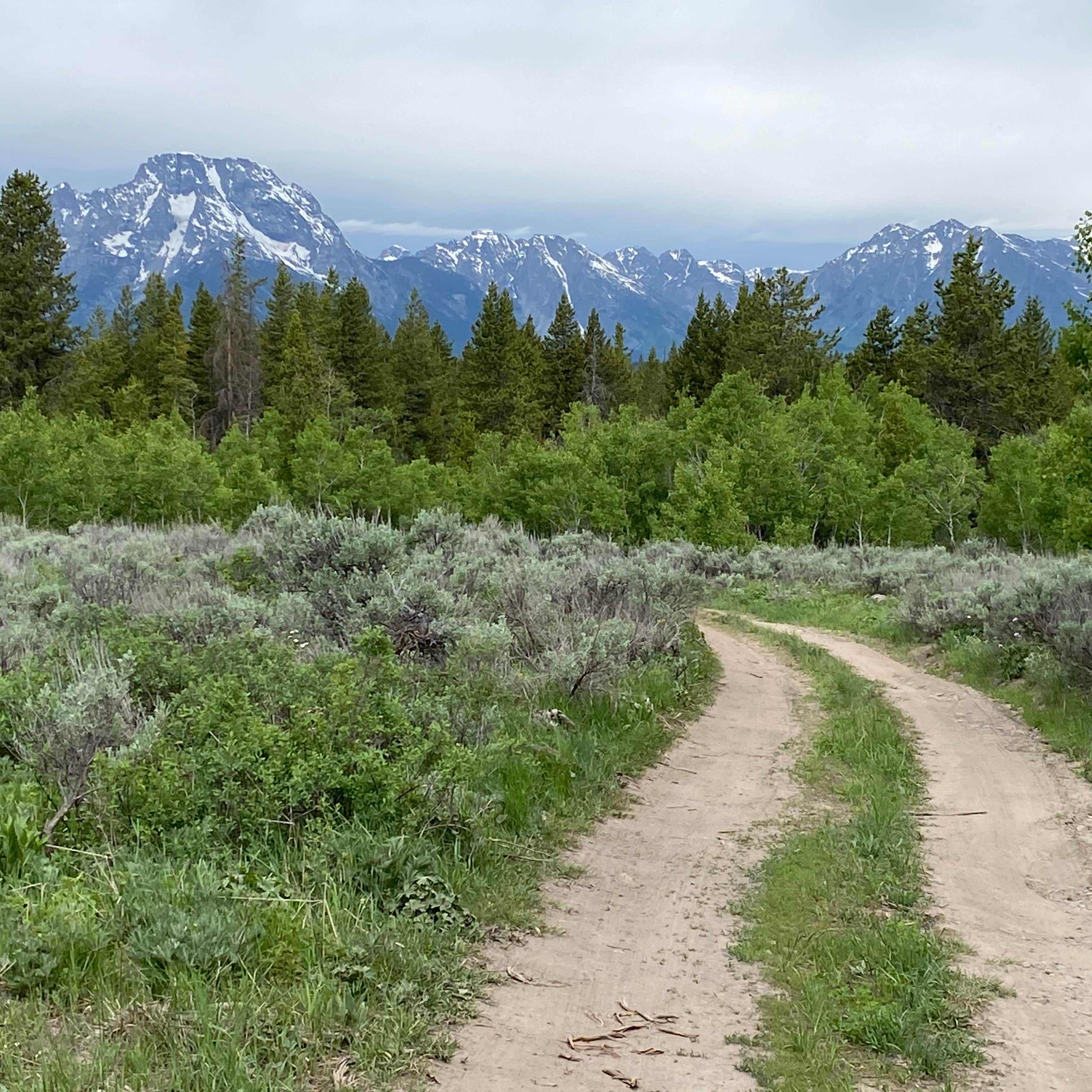 Upper Teton View Dispersed Camping | Moran, WY
