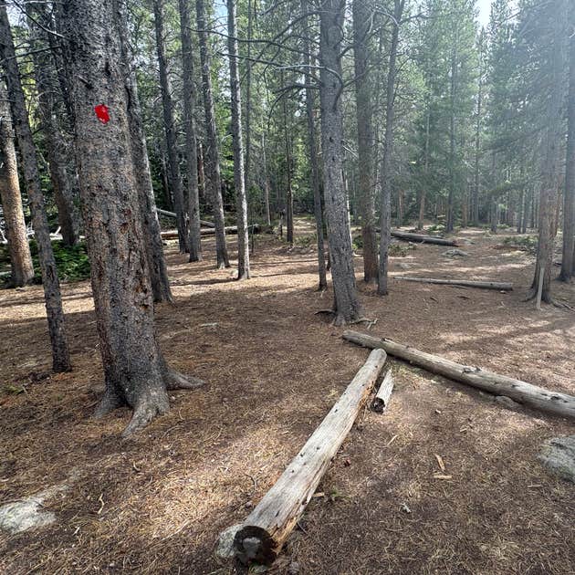 Upper Wind River Camping | Estes Park, Colorado