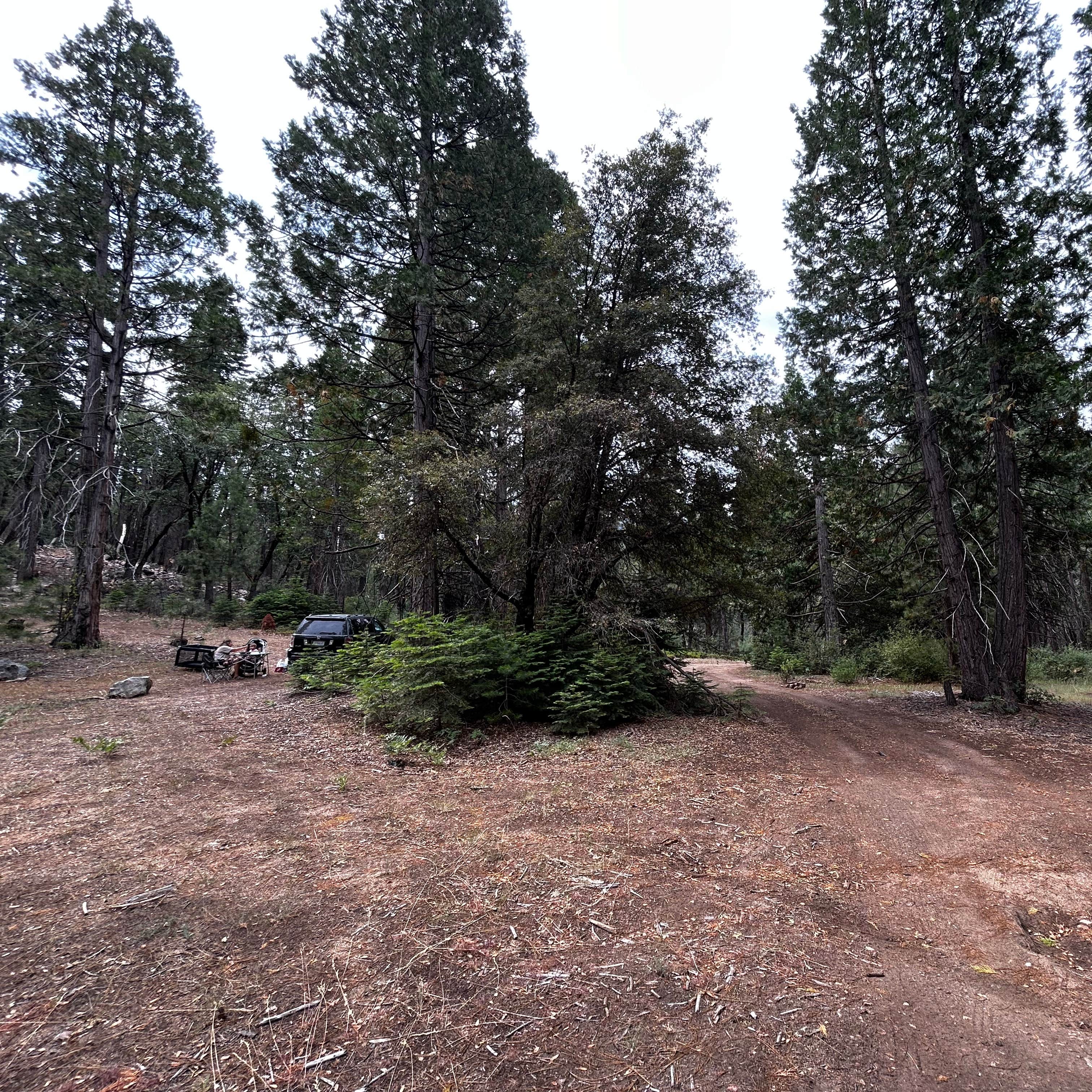 USFS Silver Fork Dispersed Camping | Kyburz, California