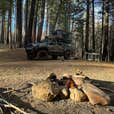 USFS Silver Fork Dispersed Camping | Kyburz, California