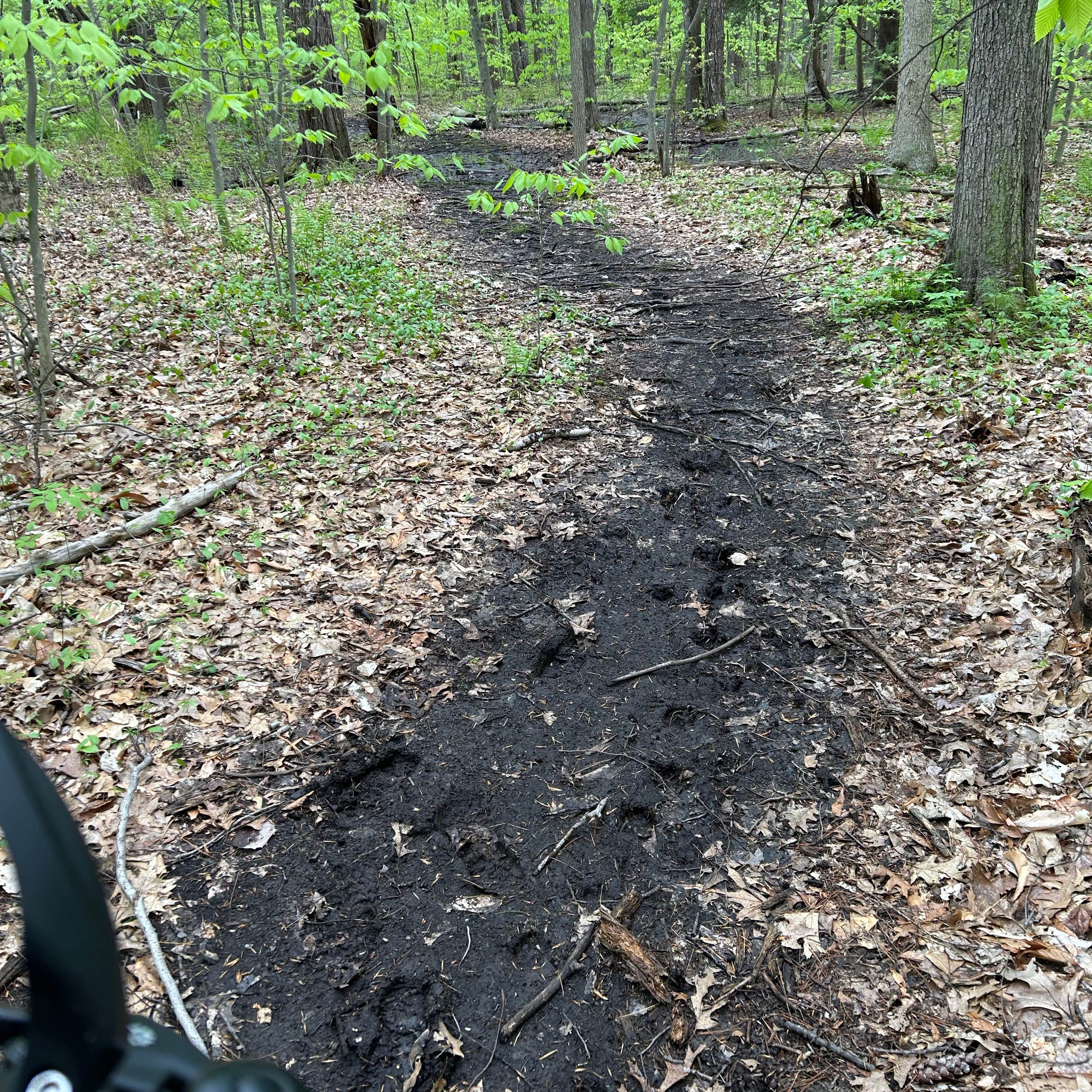 Ushers Road State Forest Camping | Round Lake, New York