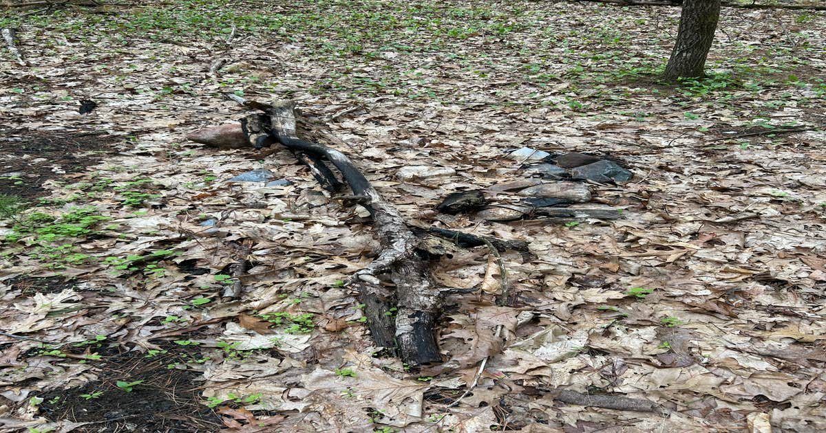 Ushers Road State Forest Camping | Round Lake, New York