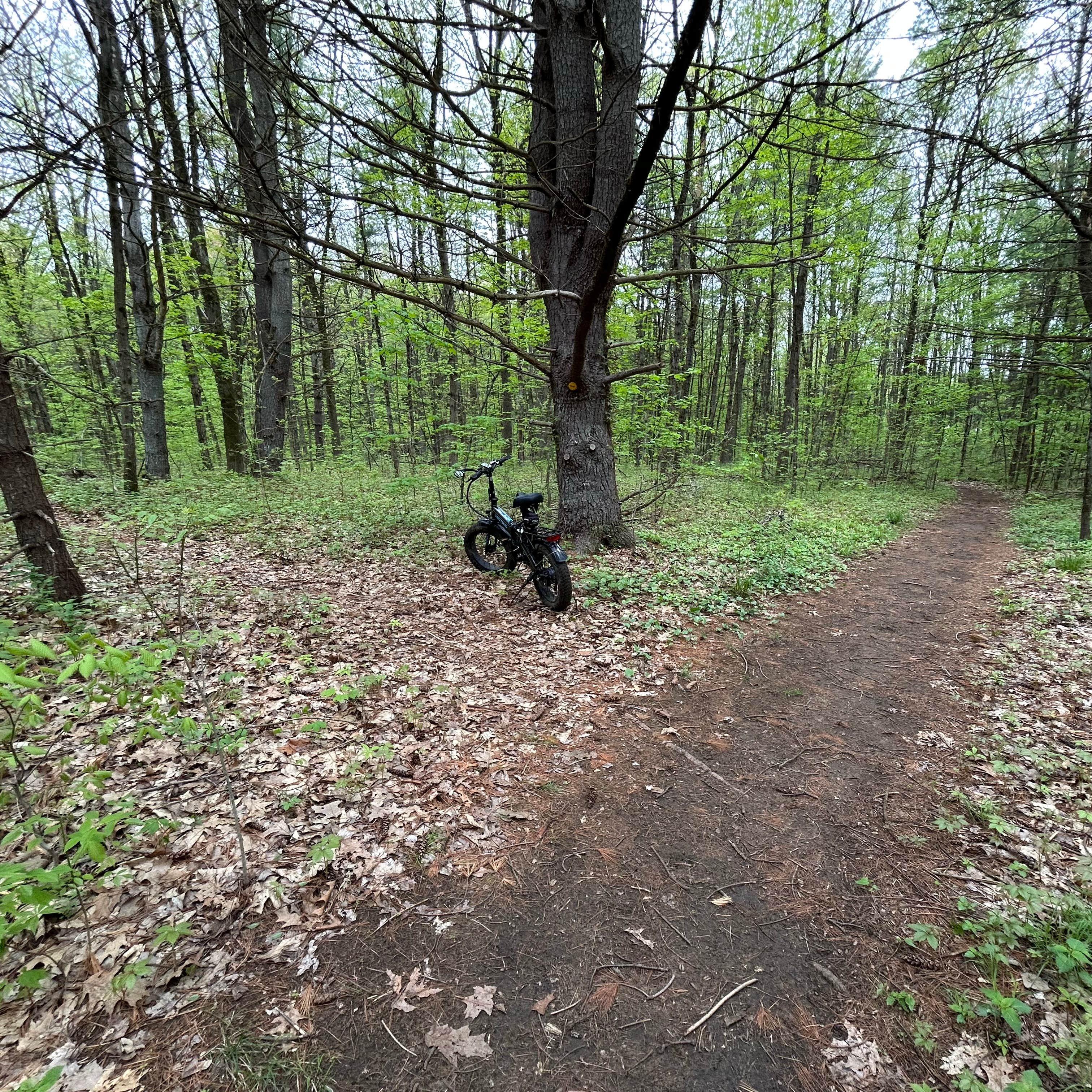 Ushers Road State Forest Camping | Round Lake, New York