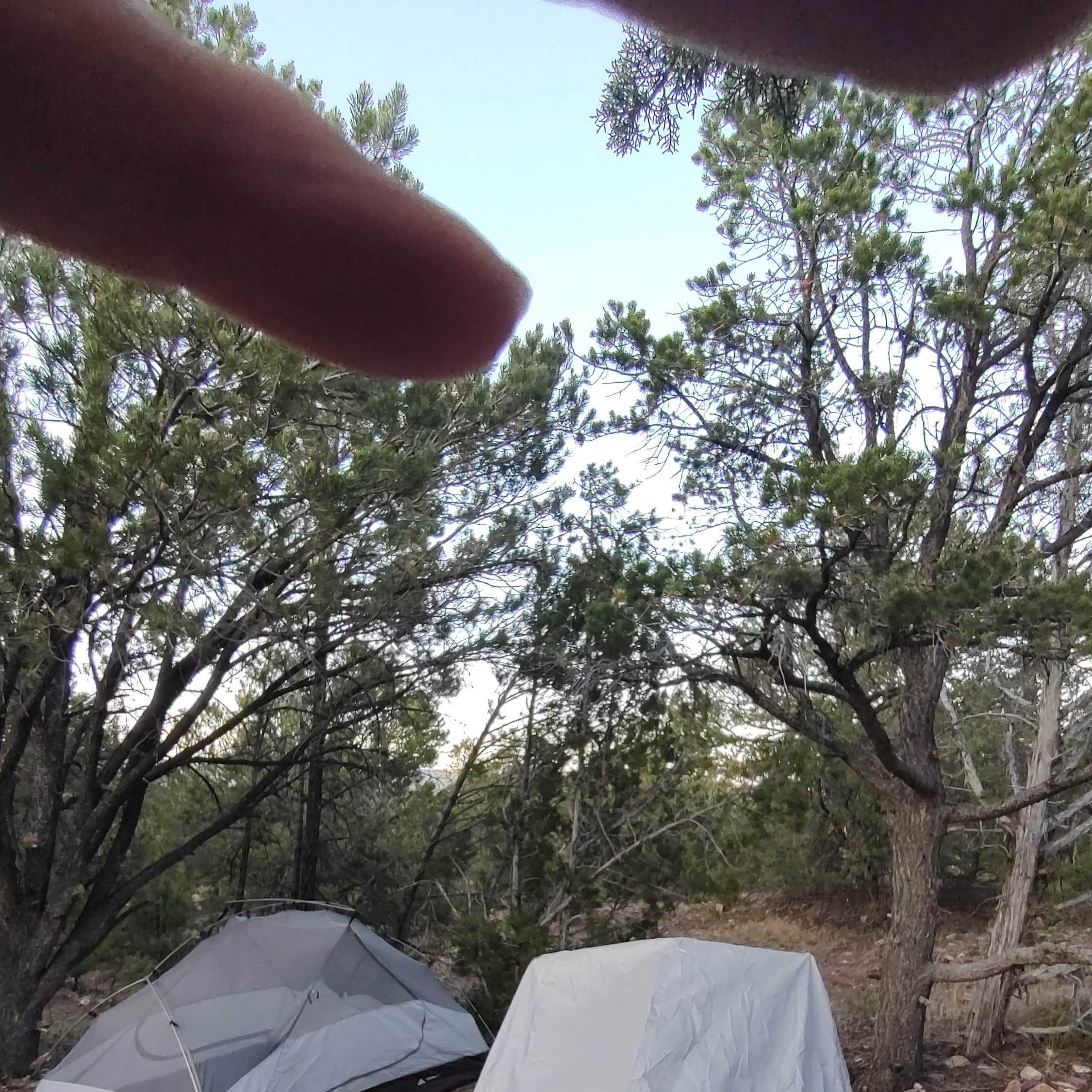Cedar Springs Campground | Flaming Gorge, Utah