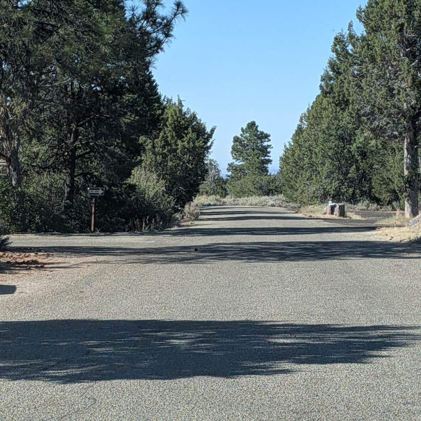 Devils Canyon Campground | Blanding, Utah