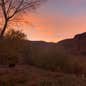 Grandstaff Campground | Moab, Utah