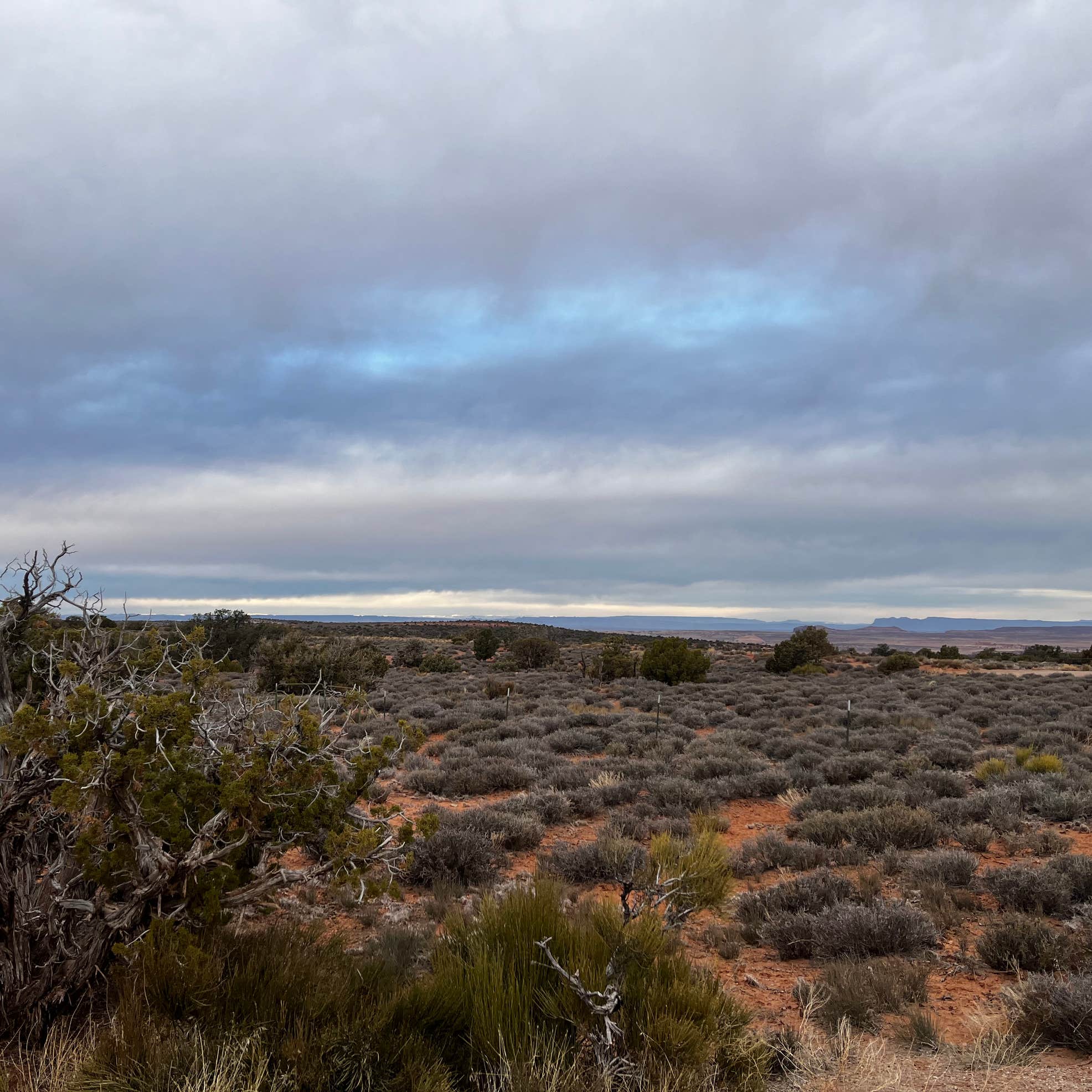 Horsethief Campground | Moab, Utah