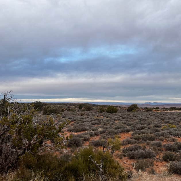 Horsethief Campground | Moab, Utah
