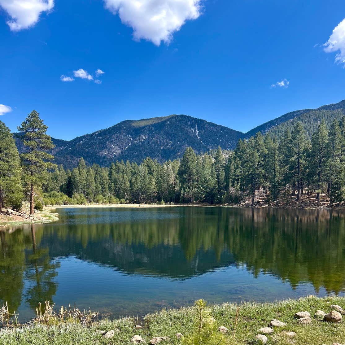 Dean Gardner Campground | Pine Valley, Utah