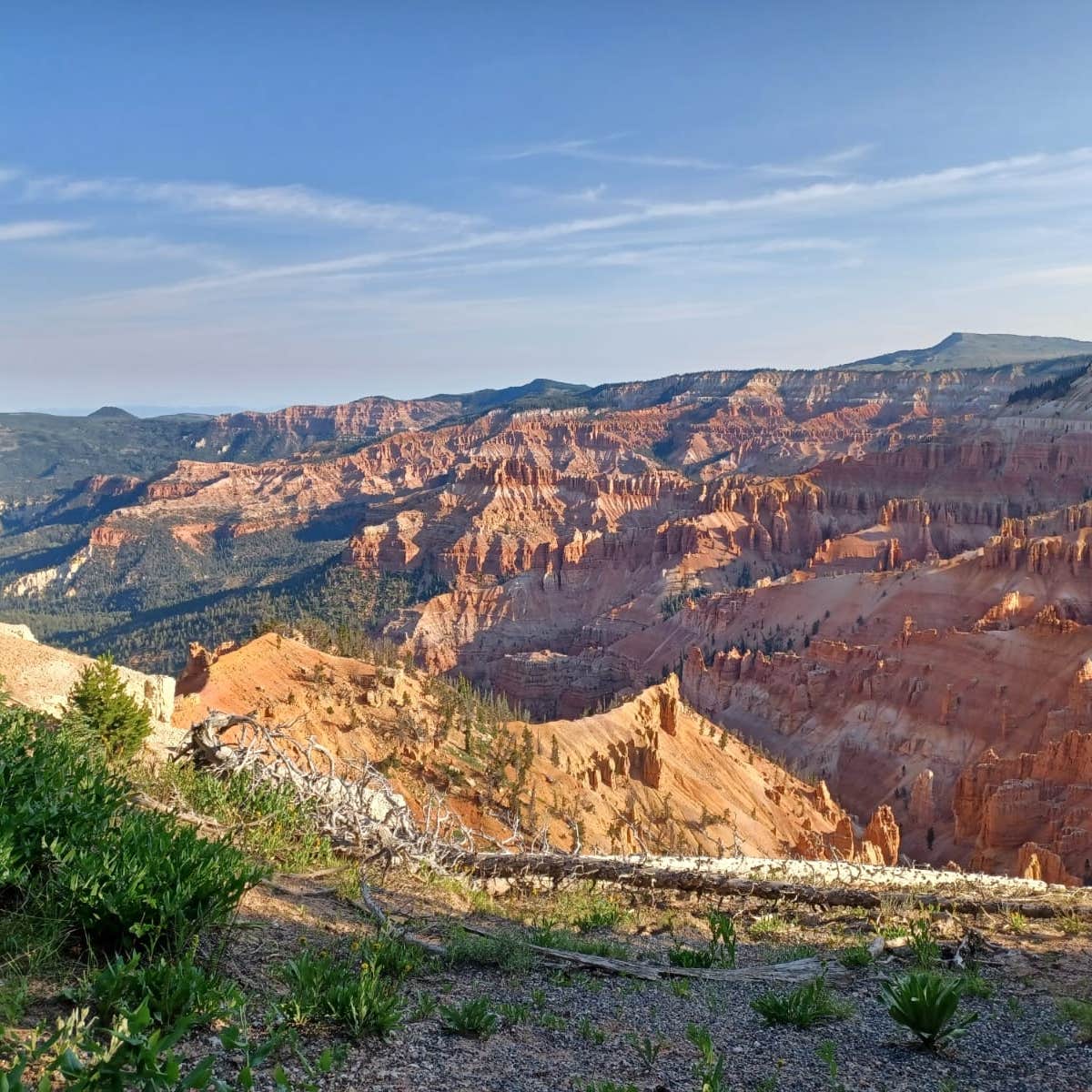 Point Supreme Campground — Cedar Breaks National Monument | Brian Head ...