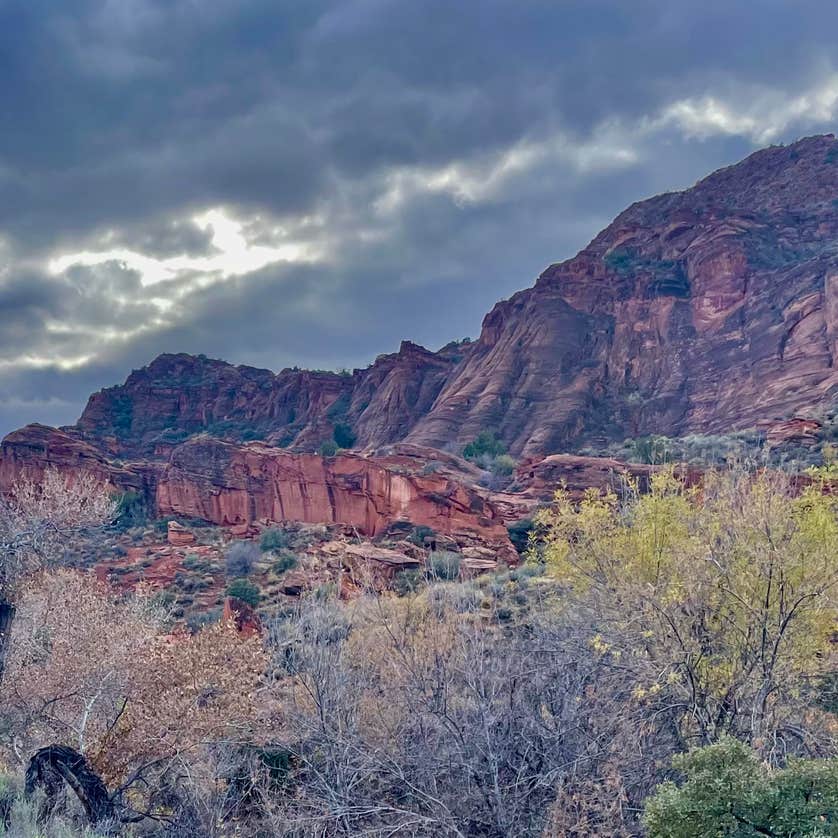 Red Cliffs Campground | Leeds, Utah