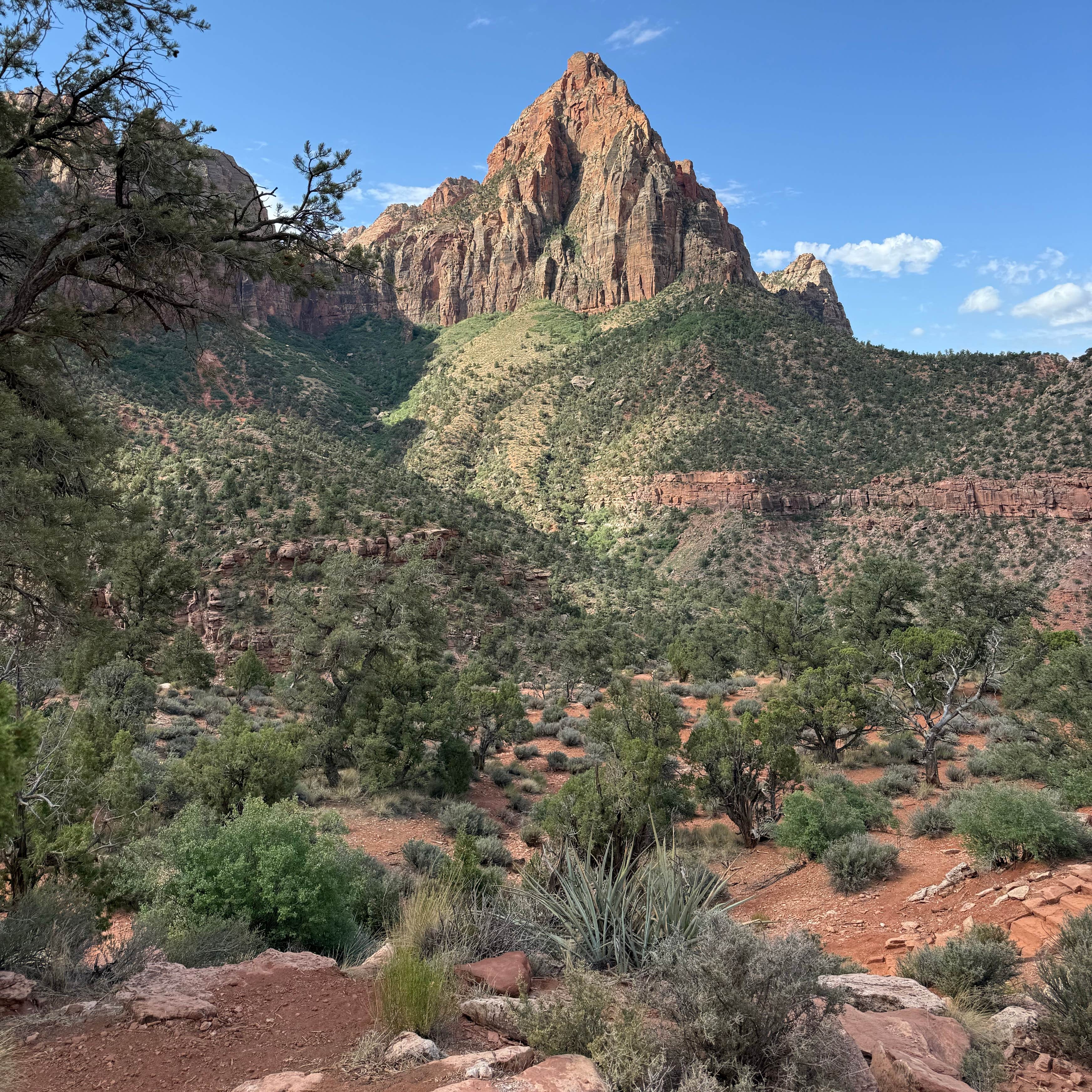 Watchman Campground — Zion National Park | Springdale, Utah