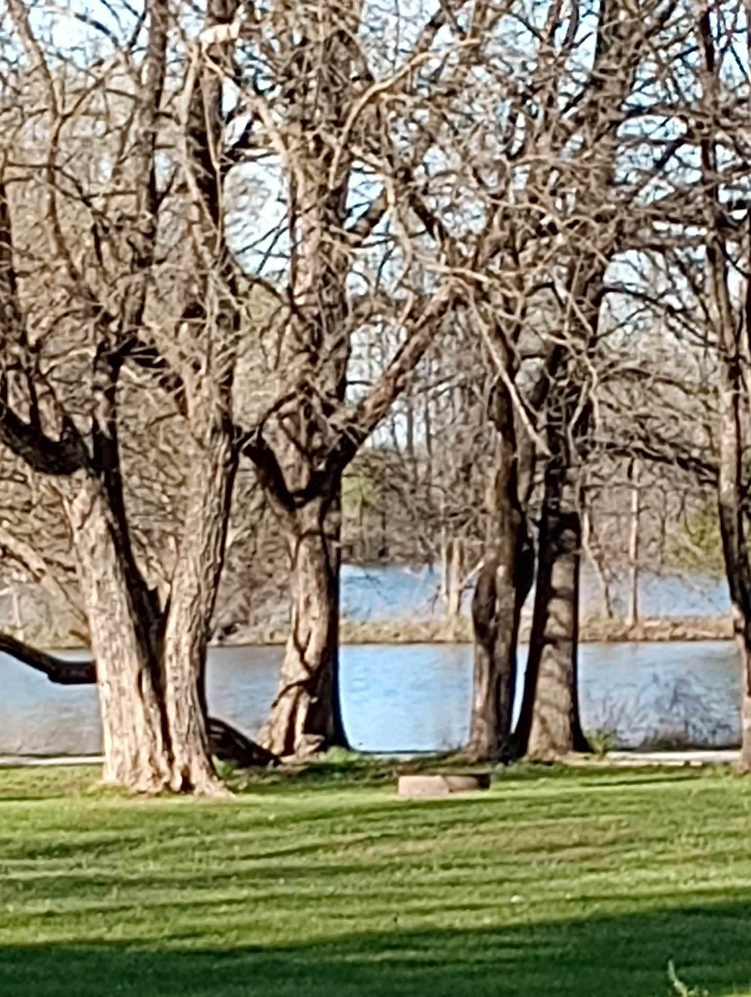 Vandalia Community Lake Camping | Perry, MO